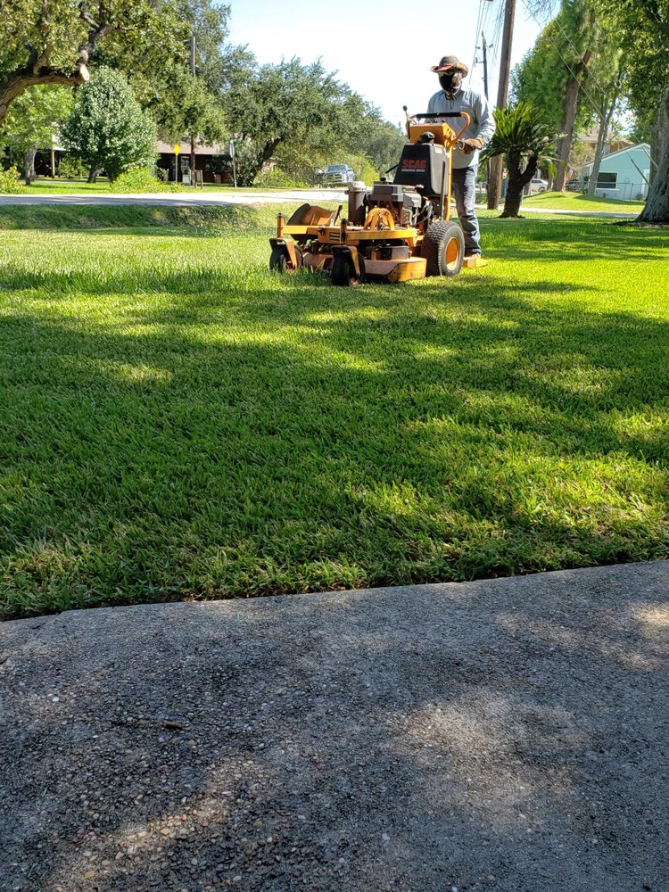 FLEX LAWN AND TREE SERVICE - Updated May 2024 - 11 Photos - Pasadena ...