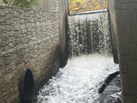 HAMMOND POND RESERVATION - Updated January 2026 - 274 Hammond Pond Pkwy ...