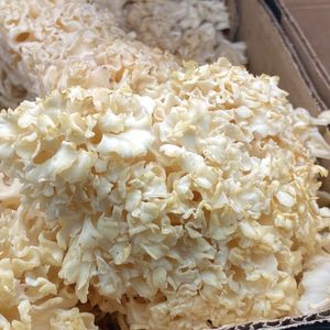 ITALIAN CENTRE SHOP - Updated July 2025 - 61 Photos & 166 Reviews ...