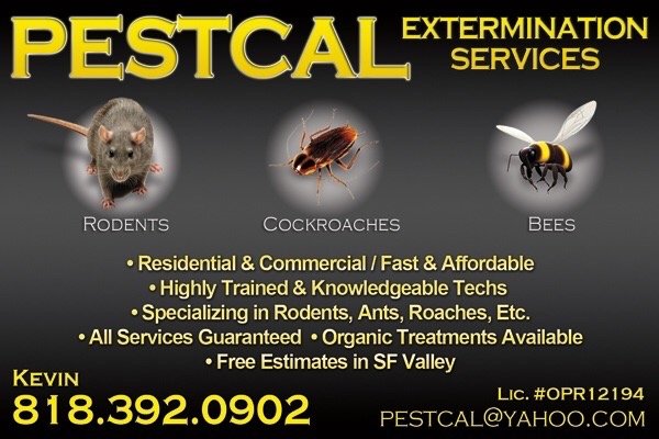 PEST AND TERMITE CONTROL - Updated July 2025 - North Hollywood ...