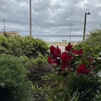 WAVE STREET CAFÉ - Updated June 2024 - 1251 Photos & 1027 Reviews - 550 ...