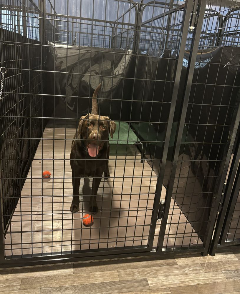 CHARLIE’S CABANA - Updated December 2025 - 714 1st Ave, Wildwood ...