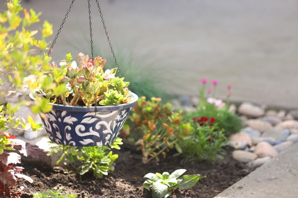 WINDSOR HAMPTON CARE CENTER - Updated December 2025 - 13 Photos & 38 ...