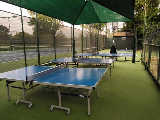 JACK KRAMER CLUB - 86 Photos & 22 Reviews - 11 Montecillo Dr, Rolling ...