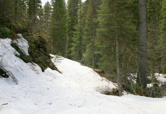 MORRELL FALLS - Updated July 2025 - Morrell Creek Rd, Seeley Lake ...