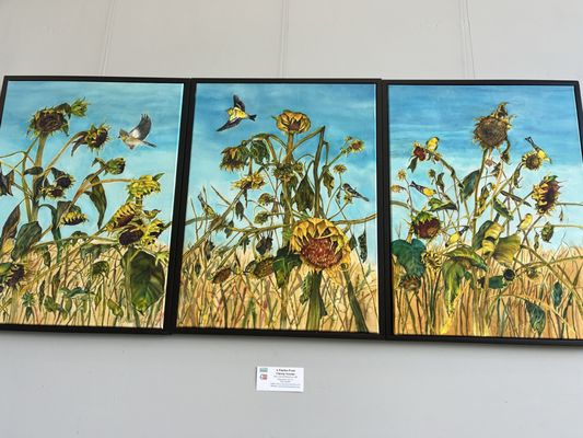 DESERT FOOTHILLS LIBRARY - Updated July 2025 - 387 Photos & 22 Reviews ...