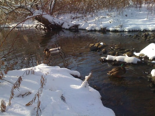 GRENADIER POND - Updated October 2025 - 14 Photos - High Park, Toronto ...