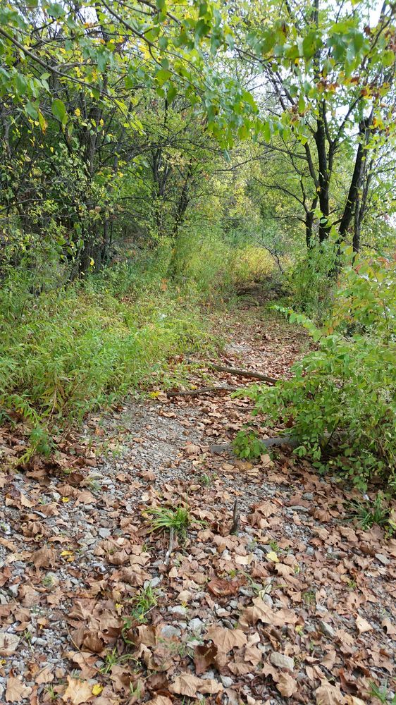 LOCK ONE PARK - Updated November 2025 - 15 Photos - 1530 Lock Rd ...