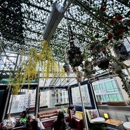 HIGHKEY RAINFOREST ROOFTOP - Updated October 2025 - 377 Photos & 208 ...