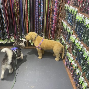 CYCLE DOG - Updated December 2025 - 50 Photos & 32 Reviews - 2056 NW ...