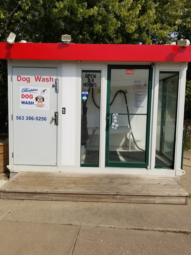 BUBBLES CAR AND DOG WASH - Updated October 2025 - Request a Quote - 2410 W Central Park Ave ...