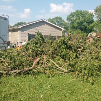 KELLY CROCKETT’S TREE CARE - Updated June 2026 - 17 Reviews - 4810 E ...