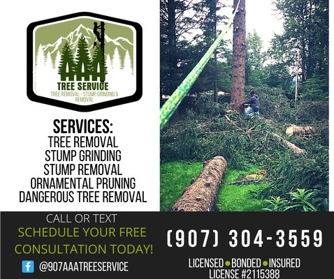 AAA TREE SERVICE - Updated November 2025 - 10 Photos - Wasilla, Alaska ...