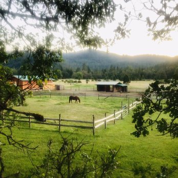 OUT’N’ABOUT TREEHOUSE TREESORT - Updated June 2024 - 298 Photos & 81 ...