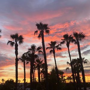 ORANGELAND RV PARK - 170 Photos & 140 Reviews - 1600 W Struck Ave ...