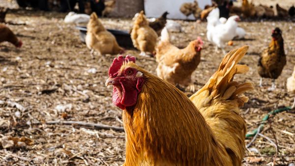 SUNRISE RANCH - Updated September 2025 - 23 Photos & 10 Reviews - 100 ...