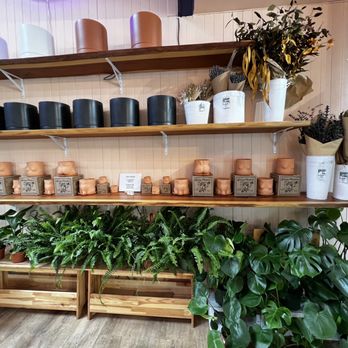 THE MELLOW SF - Updated January 2025 - 109 Photos & 50 Reviews - 1401 ...