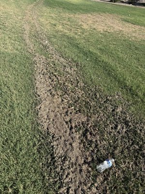 BROWN COMMUNITY MANAGEMENT - Updated October 2025 - 51 Photos & 117 ...