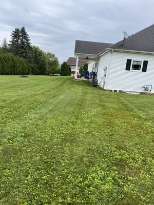 KL LANDSCAPE - Updated June 2026 - 16 Photos - 1875 Pinetop Rd ...