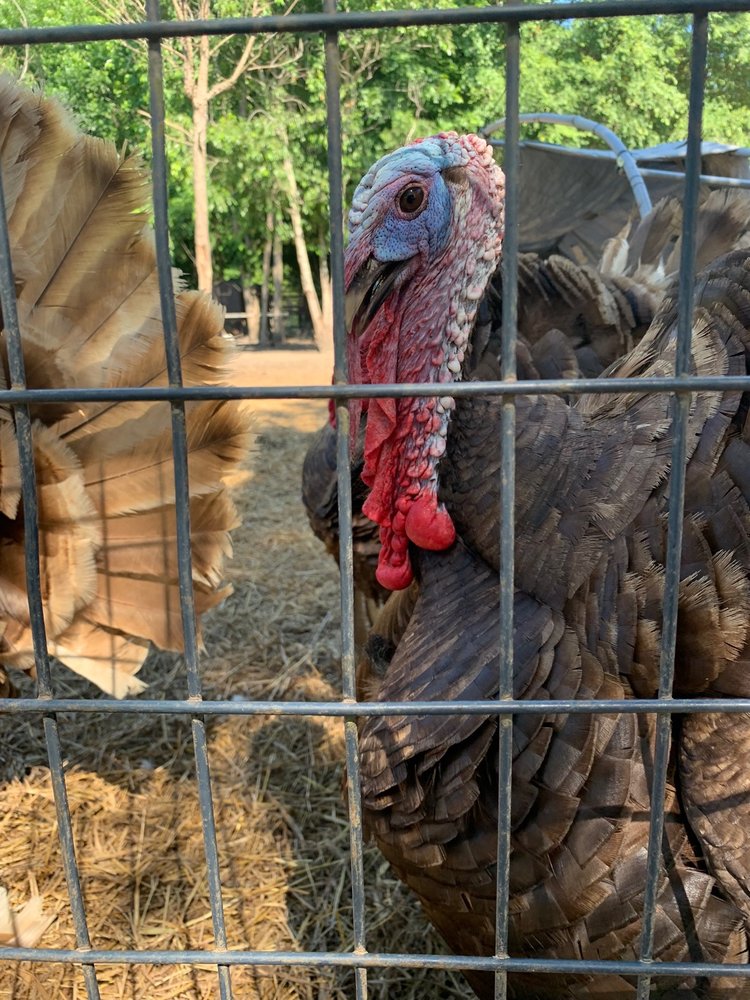 SWEET VALLEY RANCH - Updated December 2024 - 45 Photos & 11 Reviews ...