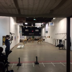 BULLFROG CORNER - Updated January 2025 - 11 Photos - 1436 Goodman Rd W ...