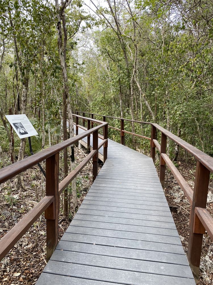 QUEEN ELIZABETH II BOTANIC PARK - Updated May 2024 - 81 Photos - 367 ...