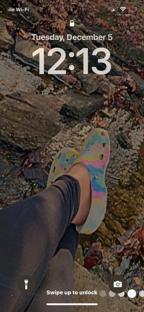 MIKYLIE FAYSON - Florence, Kentucky - Dog Walkers - Phone Number - Yelp