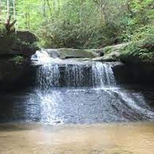 CLIFFVIEW RESORT - 102 Photos & 15 Reviews - 455 Cliffview Rd, Campton ...