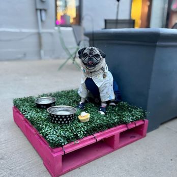 FRYDAE - Updated December 2025 - 72 Photos & 49 Reviews - 743 10th St ...