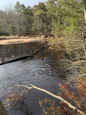 BATONA TRAIL - Updated April 2025 - 15 Photos - Browns Mills, New ...