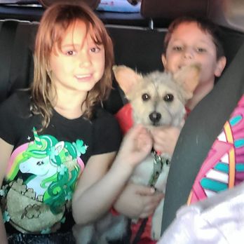 FRIENDS FOR LIFE ANIMAL RESCUE - Updated January 2026 - 43 Photos & 59 ...