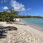 LINDQUIST BEACH - 87 Photos & 40 Reviews - Smith Bay Road, Anna's ...