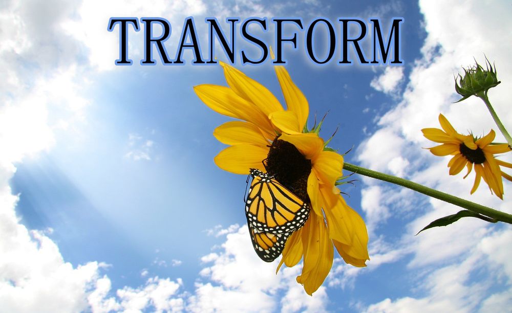 JASON GOBELI - Updated April 2024 - 15 Photos - 1047 San Bruno Ave ...