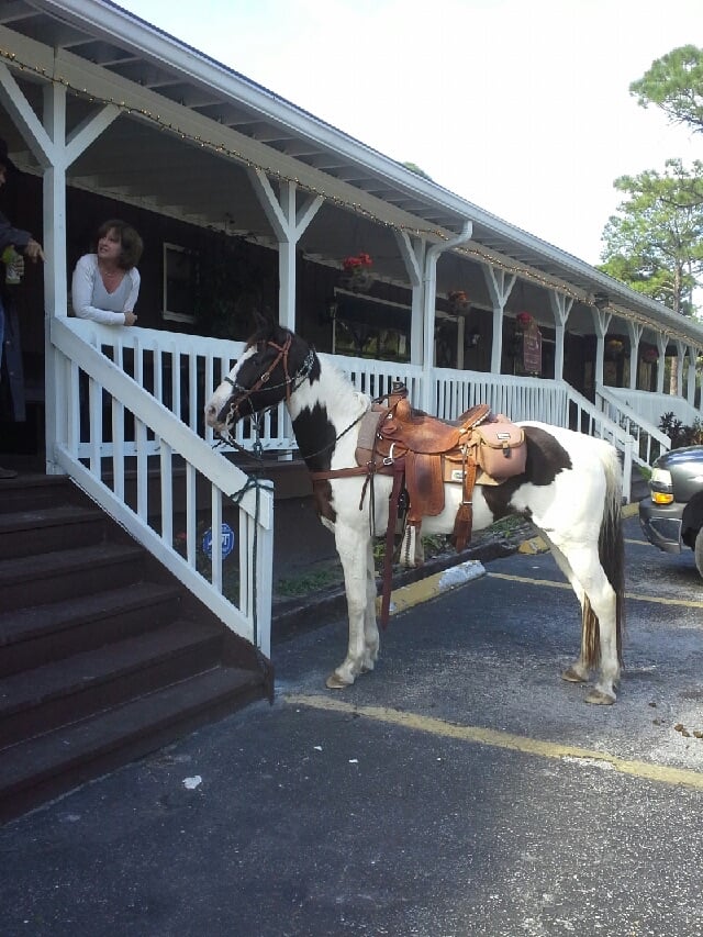 JUPITER TACK & SADDLERY - Updated July 2025 - 16891 Jupiter Farms Rd ...