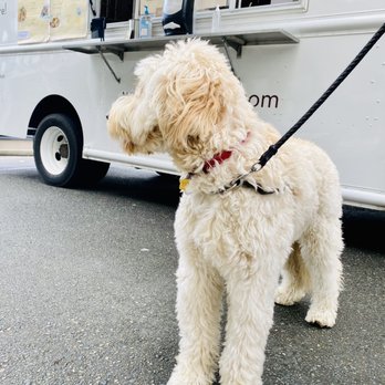 MAMI TRAN - Updated October 2024 - 80 Photos & 55 Reviews - Seattle ...