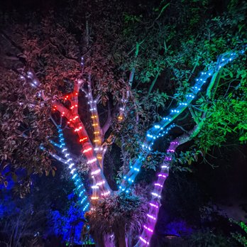 LIGHTSCAPE SAN DIEGO - Updated November 2024 - 189 Photos & 38 Reviews ...