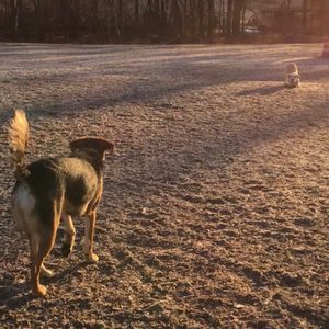 SPRATT PARK - 121 Wilbur Blvd, Poughkeepsie, NY - Yelp