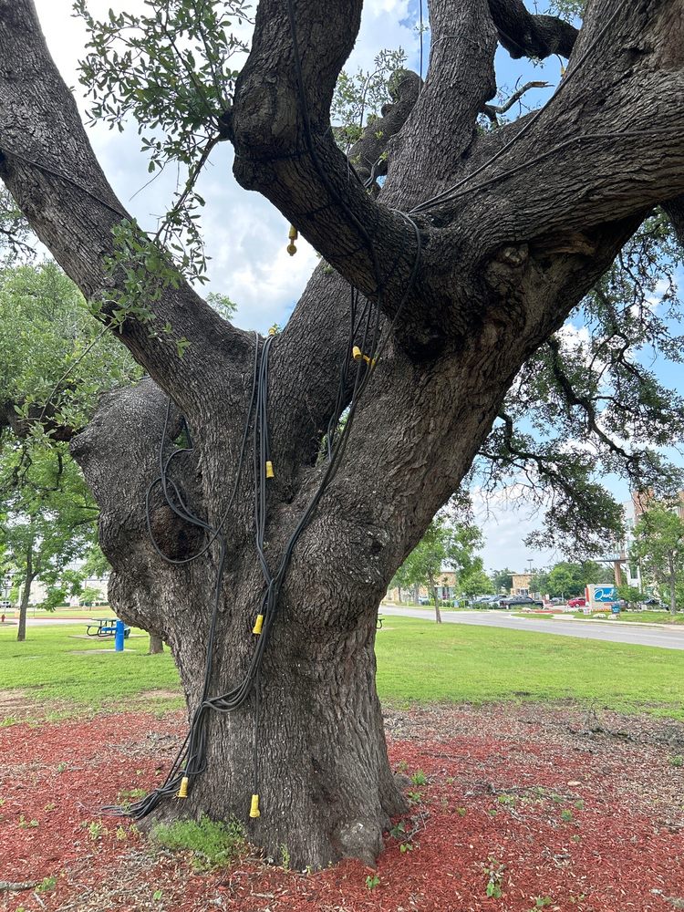 HERITAGE OAK PARK - Updated June 2024 - 875 Quest Pkwy, Cedar Park ...