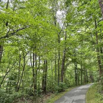 GIBSON PARK - Updated October 2025 - 18 Photos - 5207 W Wendover Ave ...