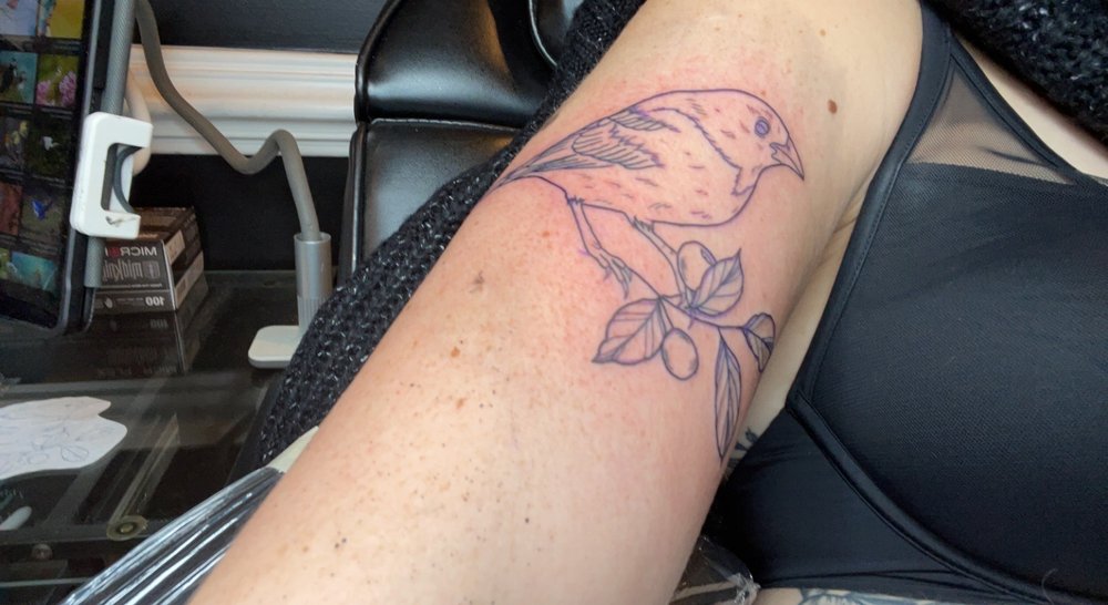 STUDIO 7 TATTOO AND ART GALLERY - 79 Photos - Piercing - 3218 Eastern ...