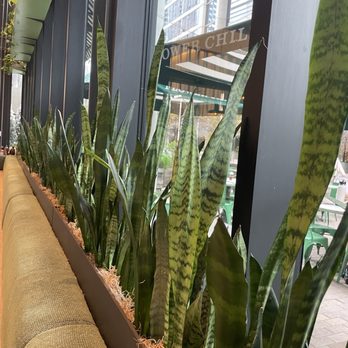 FLOWER CHILD - Updated December 2025 - 460 Photos & 452 Reviews - 500 W ...