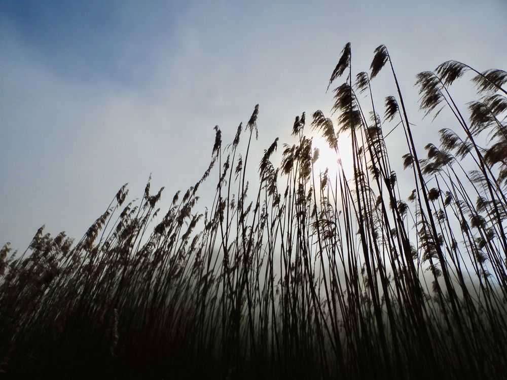 CALVERT CLIFFS STATE PARK - 348 Photos & 78 Reviews - Lusby, Maryland ...