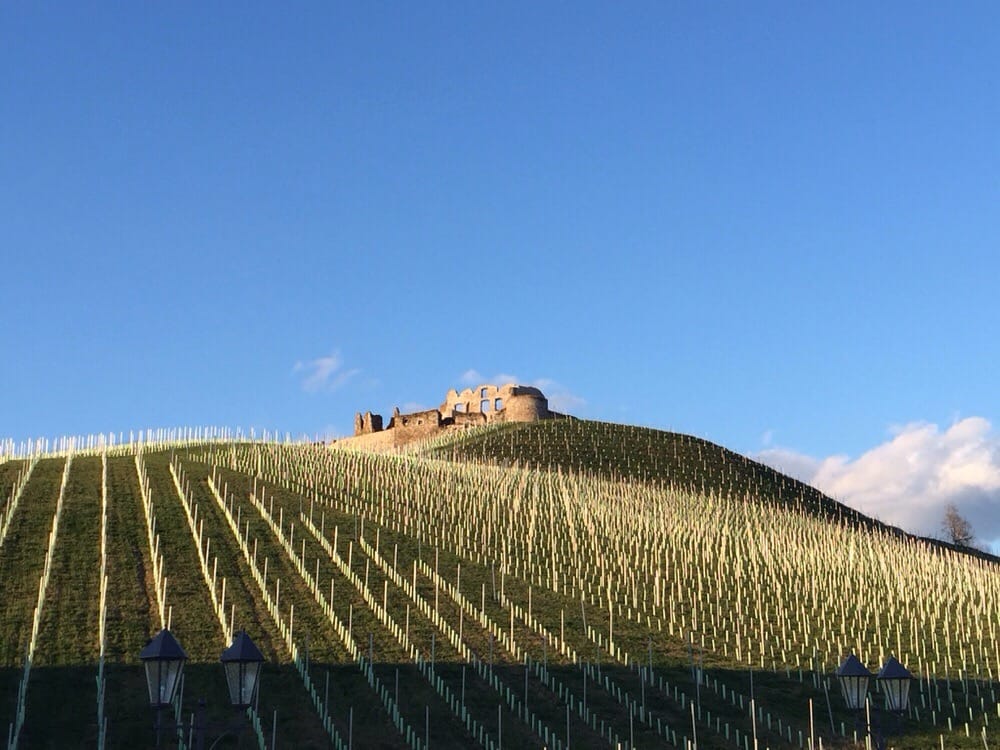 BURG TAGGENBRUNN - Updated November 2024 - Taggenbrunn 11, St. Veit an ...