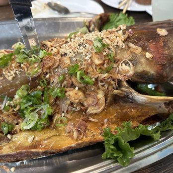 PT EATERY - Updated October 2024 - 772 Photos & 362 Reviews - 7351 ...