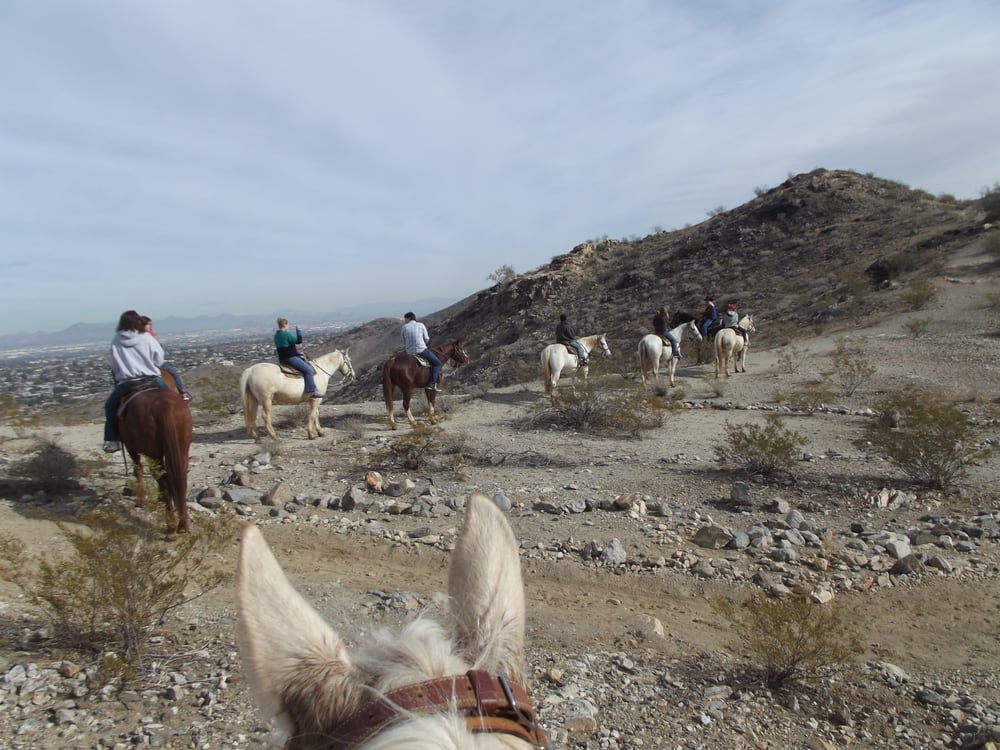 M&M Stables - Trusted Since 2015 - Updated July 2025 - 6401 S 28th St ...