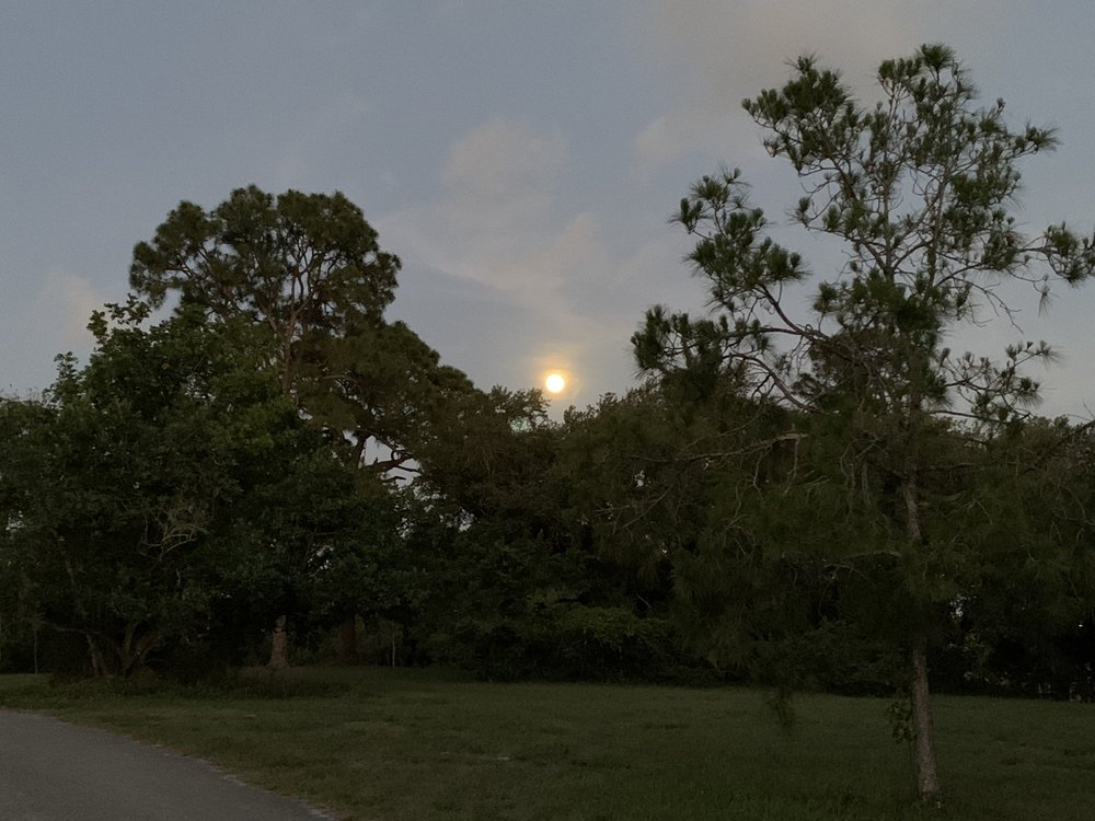 PINE ISLAND RIDGE - Updated May 2025 - 104 Photos - 9420 Live Oak Pl ...