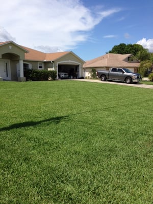 EVERGREEN LAWN & PEST CONTROL - Updated October 2024 - 39 Photos & 33 ...