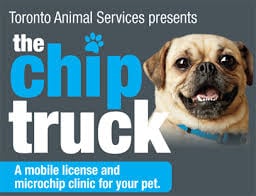 TORONTO ANIMAL SERVICES WEST SHELTER - Updated January 2026 - 146 The ...