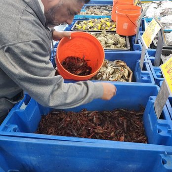 USA DAILY LIVE SEAFOOD MARKET - Updated December 2025 - 219 Photos ...