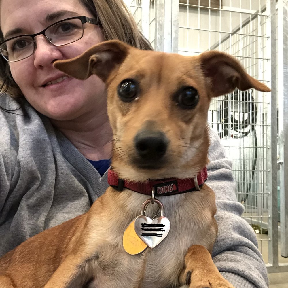 Amanda Simonson's Instagram, Twitter & Facebook on IDCrawl